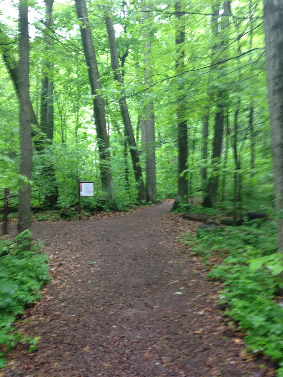 Top 5 Natural Attractions at Devil's Lake - Apex Adventure Alliance